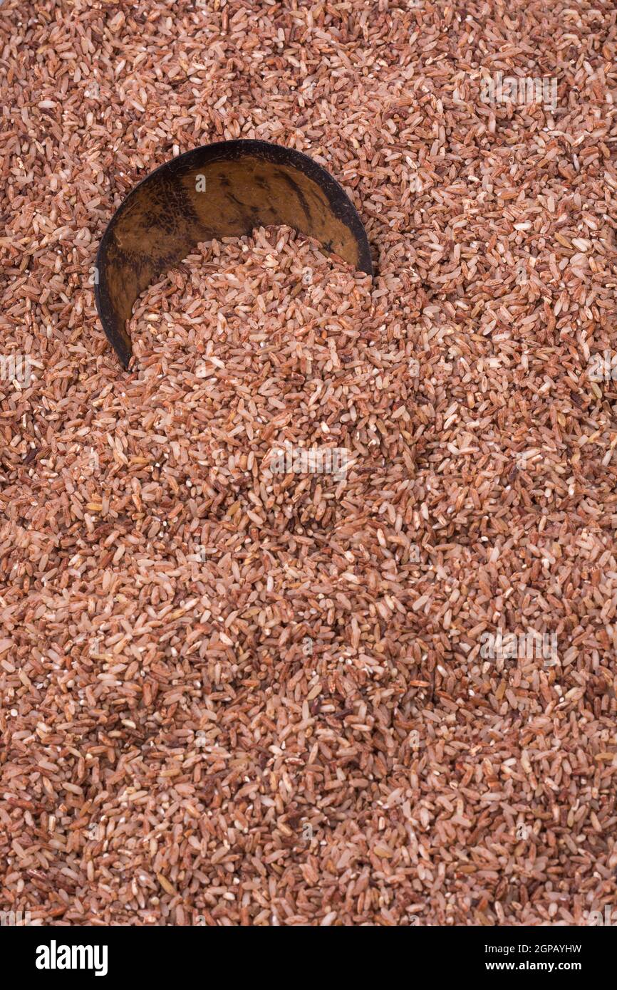 whole grain brown rice with a cup made out of coconut husk, closeup ...