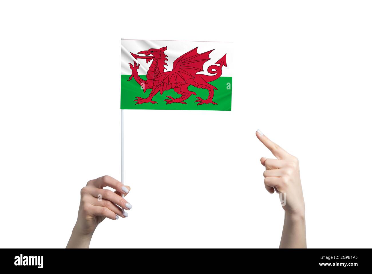 A beautiful female hand holds a Wales flag to which she shows the ...