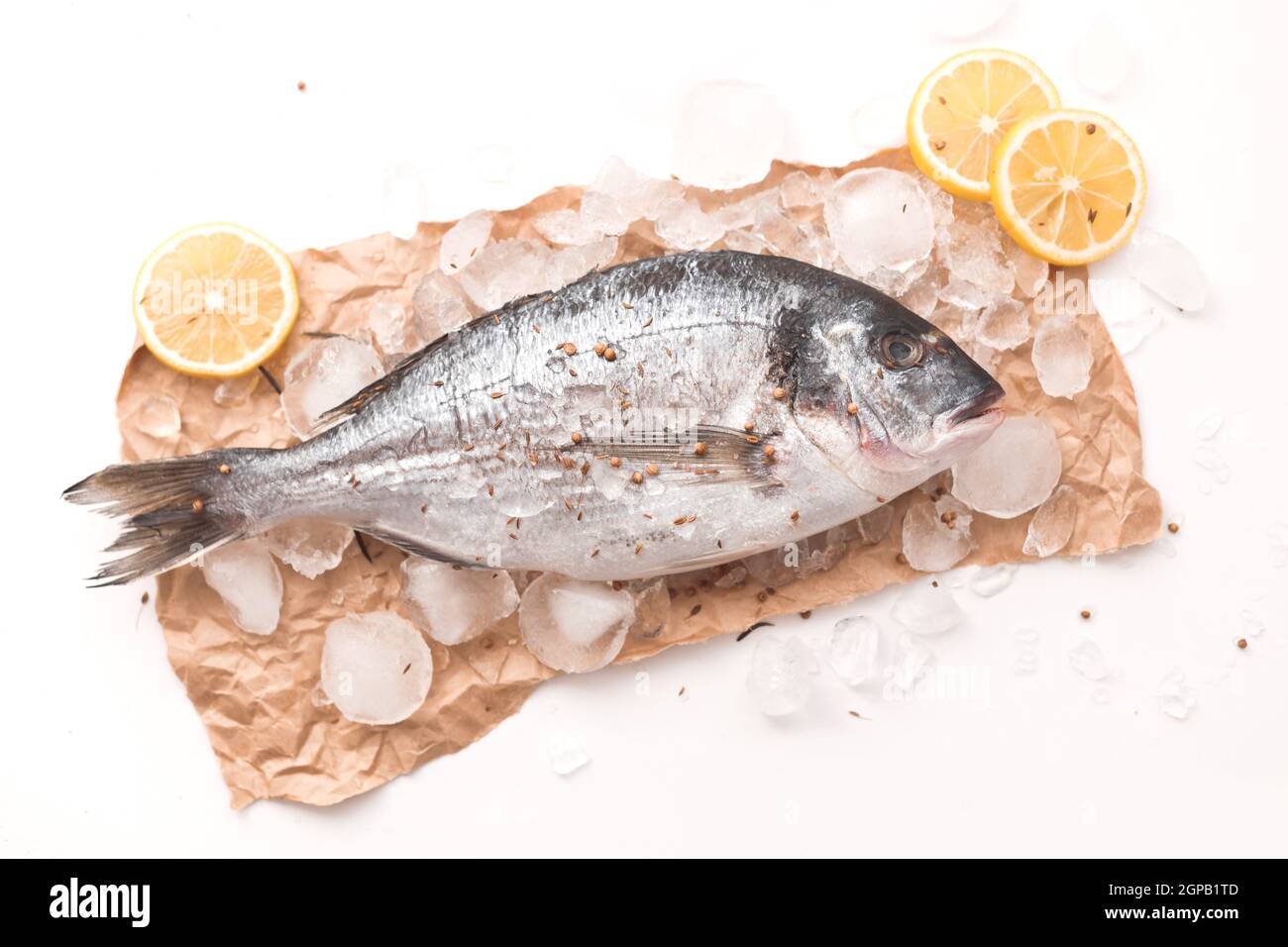Raw dorada fish or gilt-head bream on ice with lemon and salt over ...
