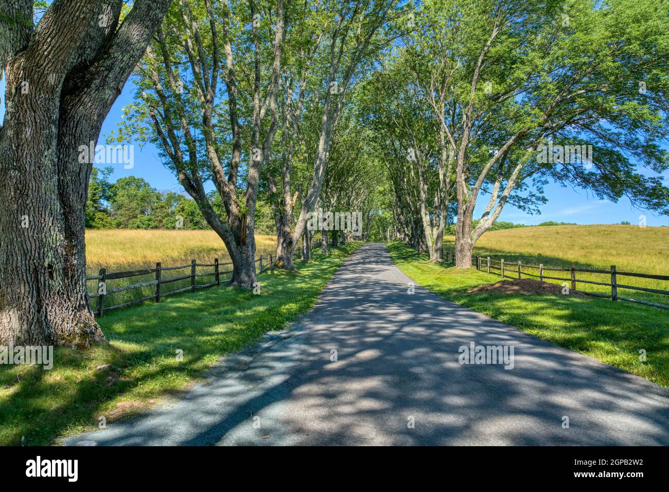 The tree lined entrance road into James Monroe’s Highland home and ...
