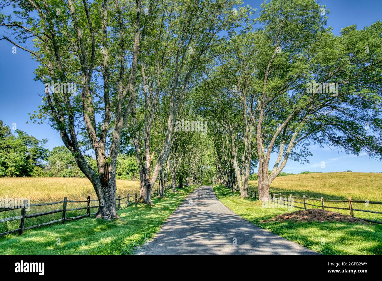 The tree lined entrance road into James Monroe’s Highland home and ...