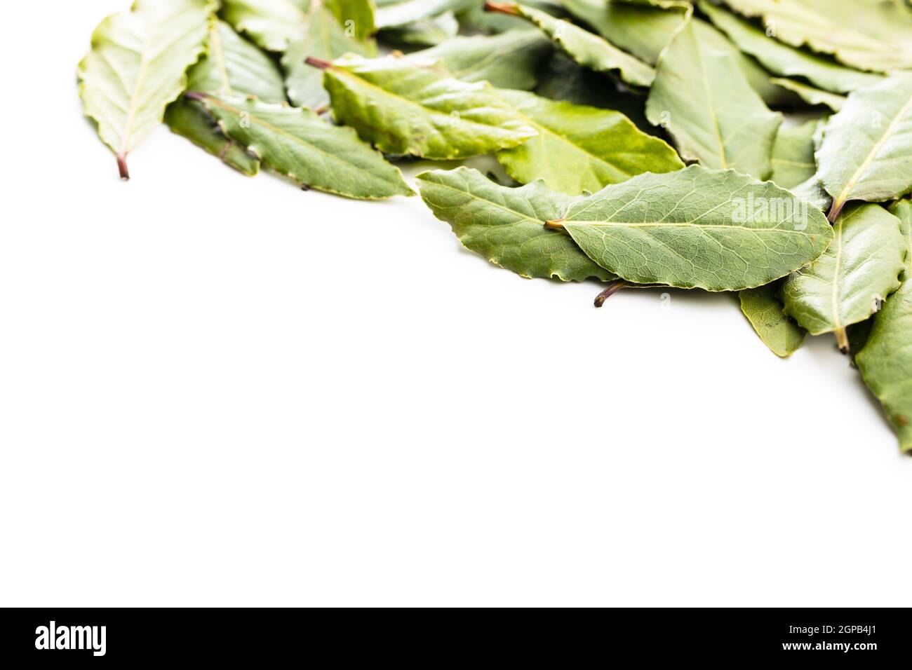 Fresh green bay leaves isolated on white background Stock Photo - Alamy