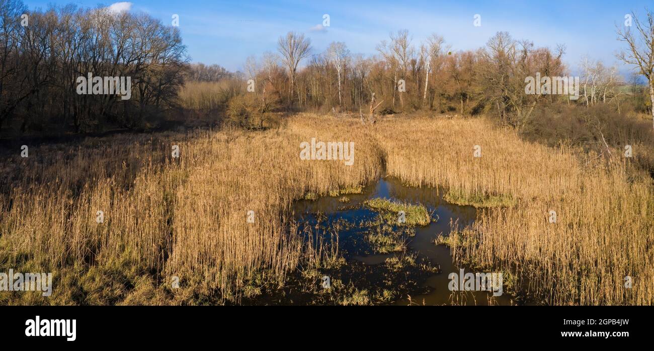 Unspoiled riparian environment hi-res stock photography and images - Alamy
