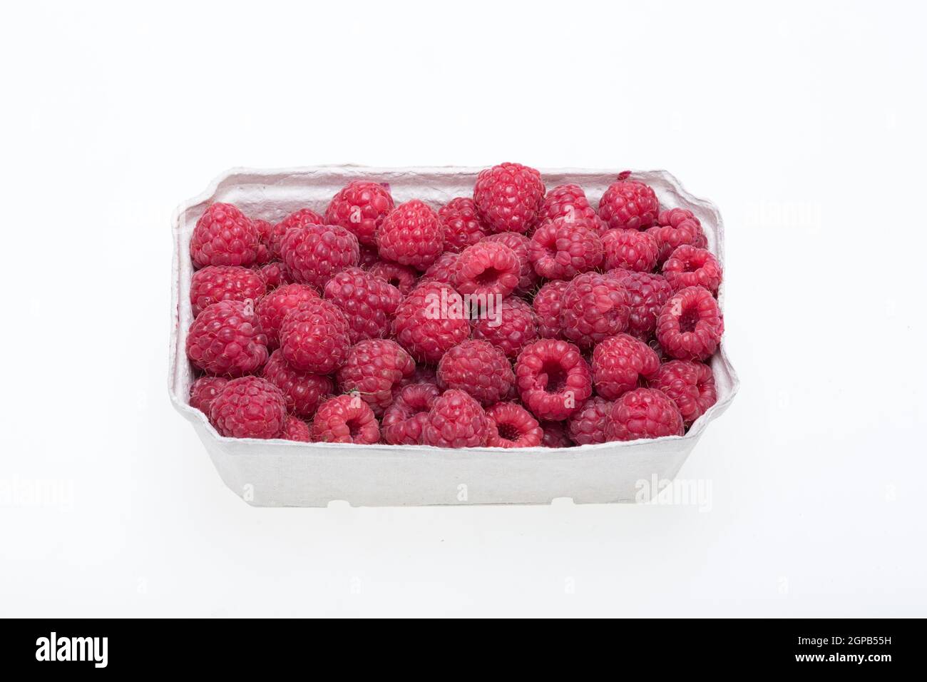 A beautiful selection of freshly picked ripe red raspberries Stock ...