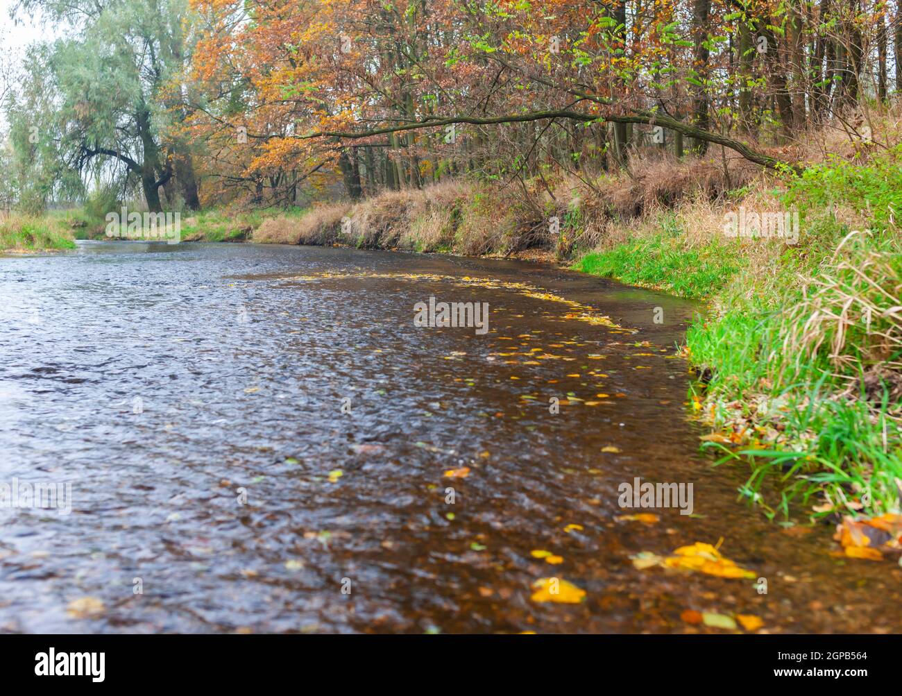 Dyje river thaya hi-res stock photography and images - Alamy
