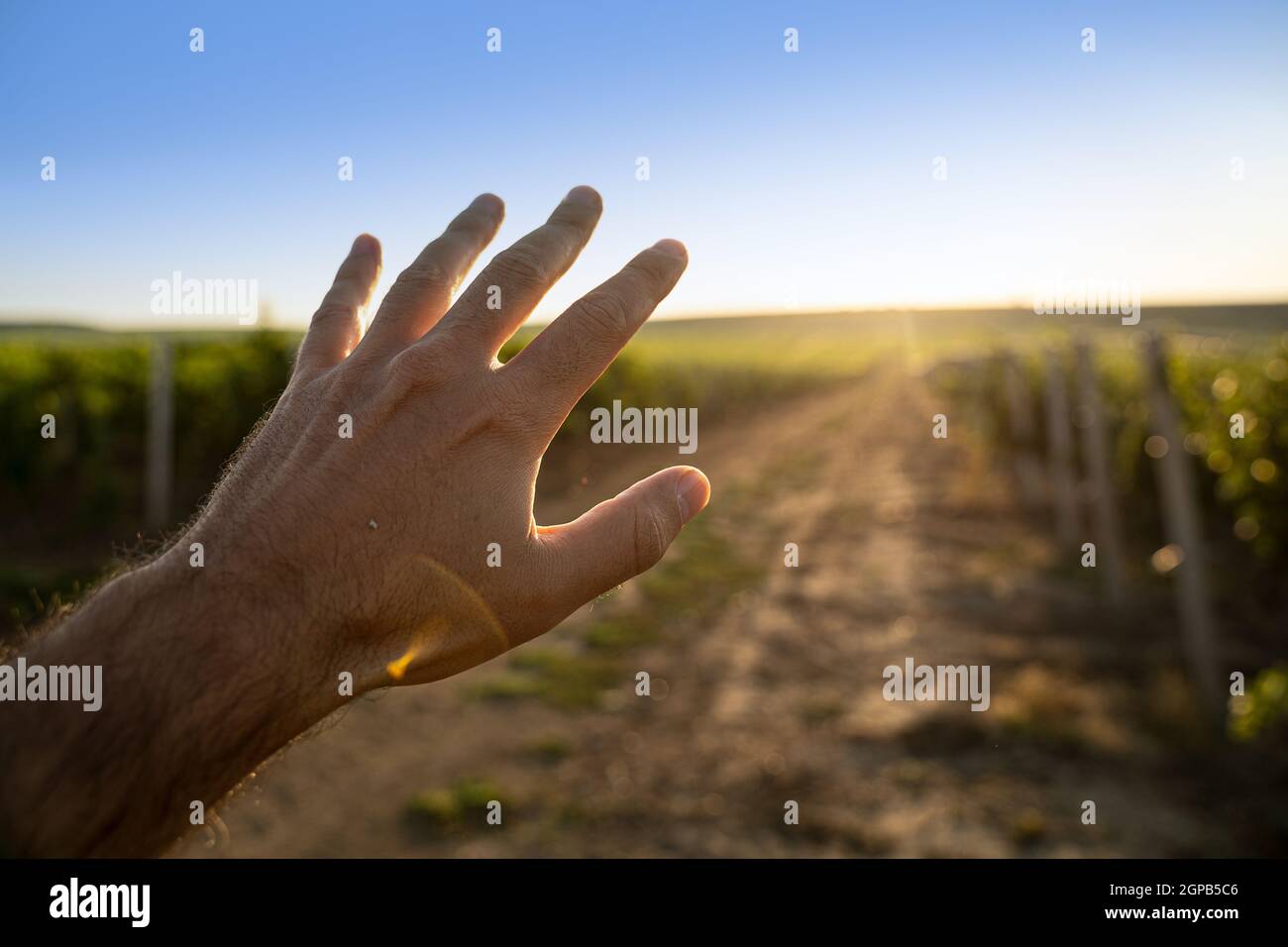 Hand Blocking Sun High Resolution Stock Photography and Images - Alamy