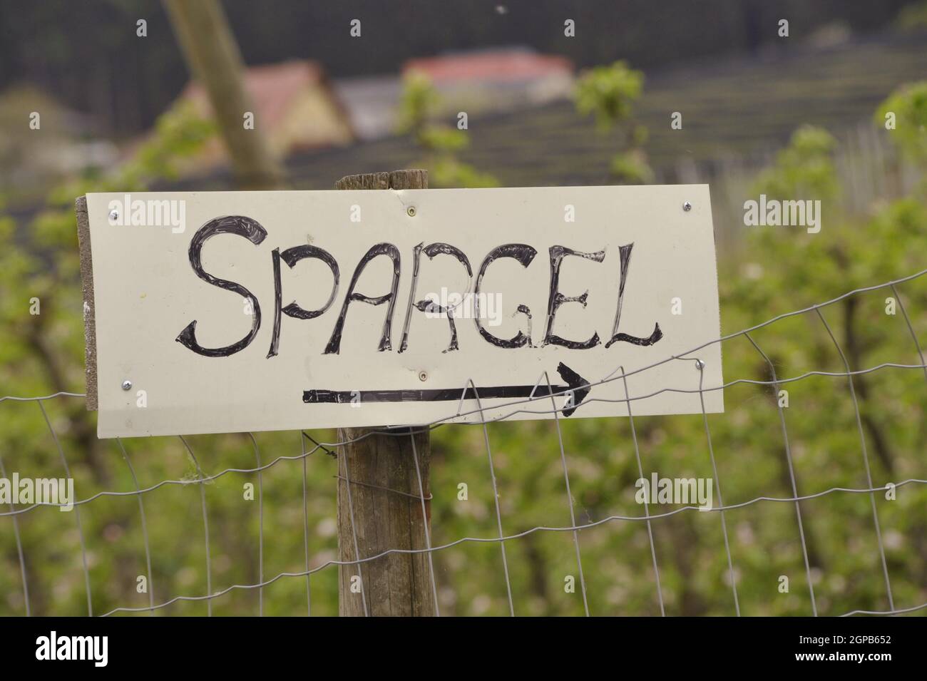 Spargel symbol hi-res stock photography and images - Alamy