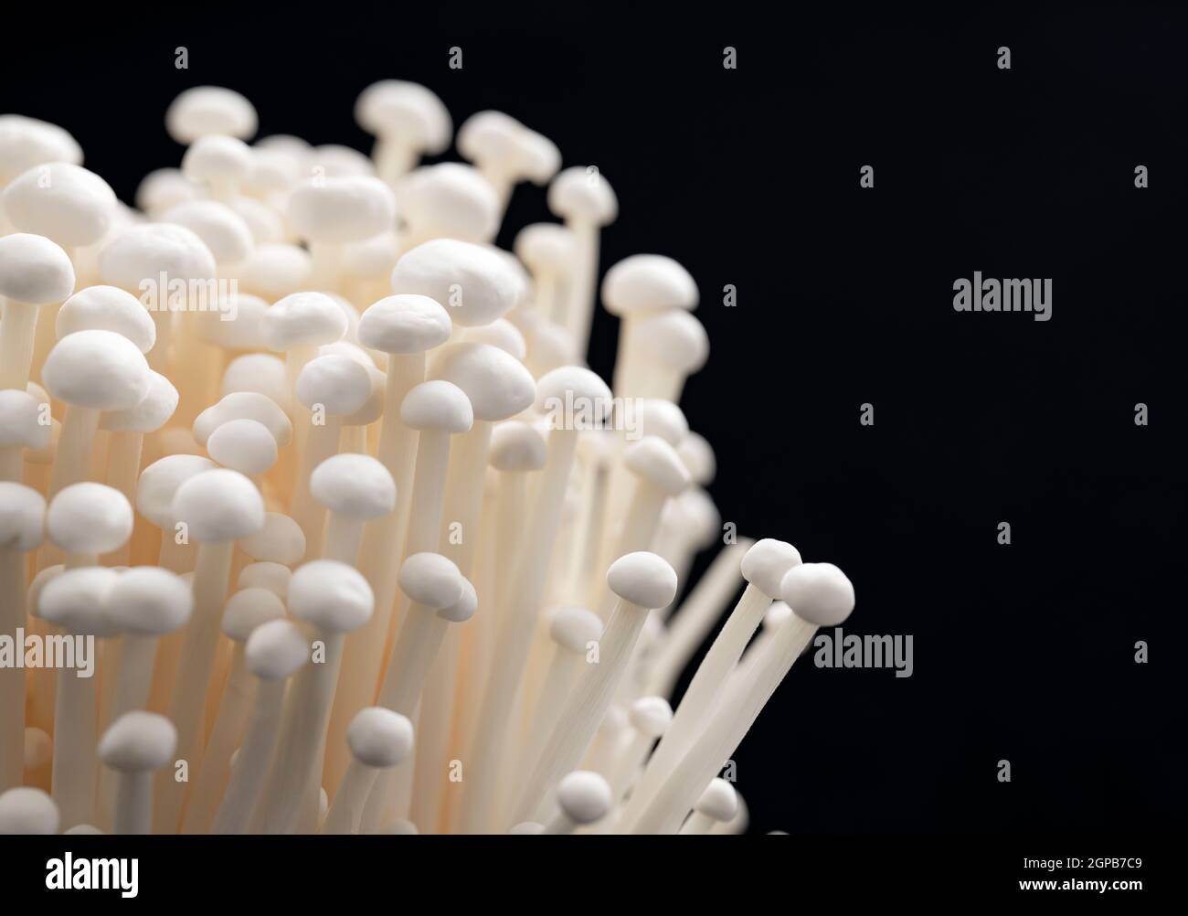 Natural enoki mushrooms close hi-res stock photography and images - Alamy