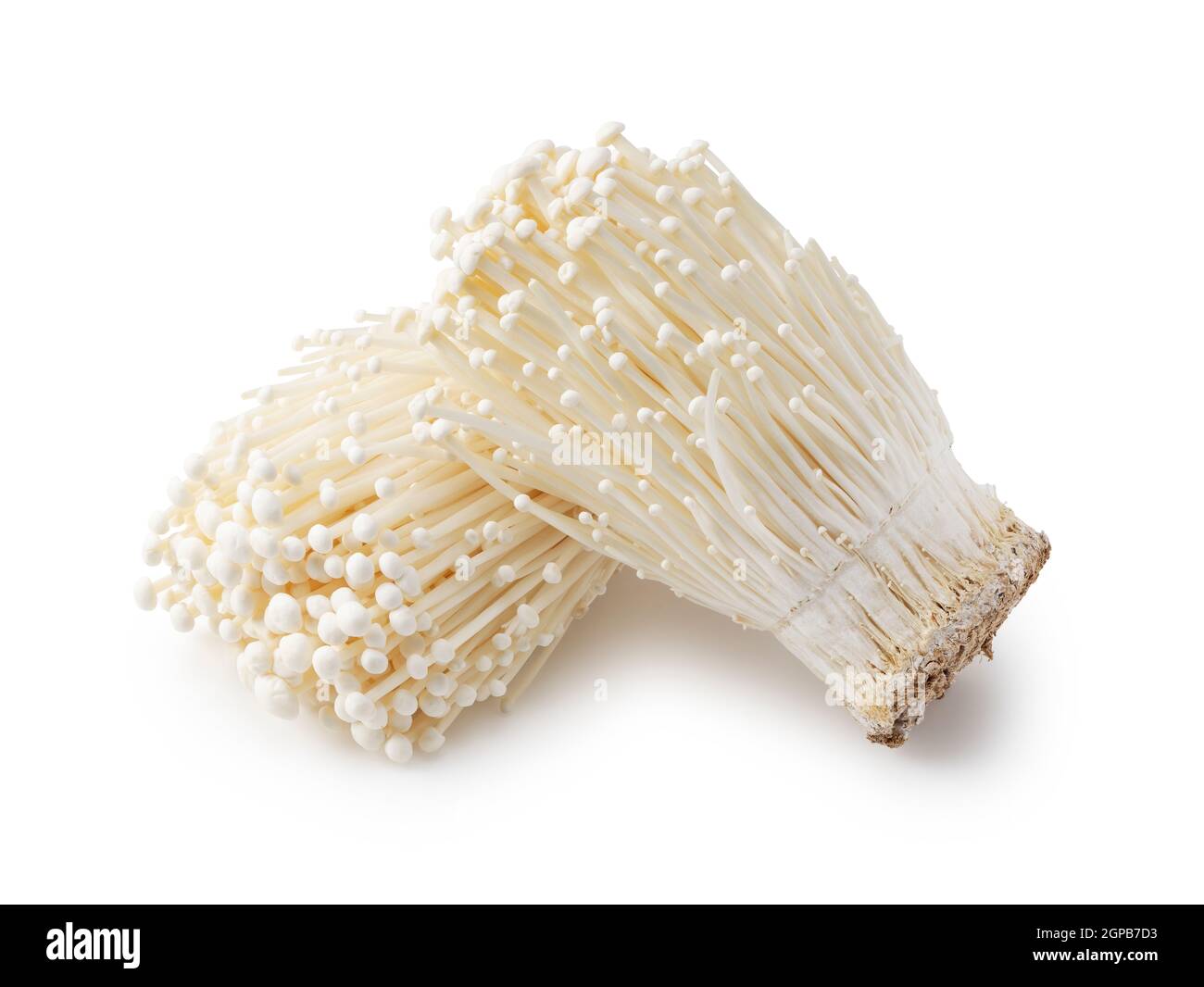 Enoki mushrooms on a white background. Close-Up, Texture Stock Photo ...
