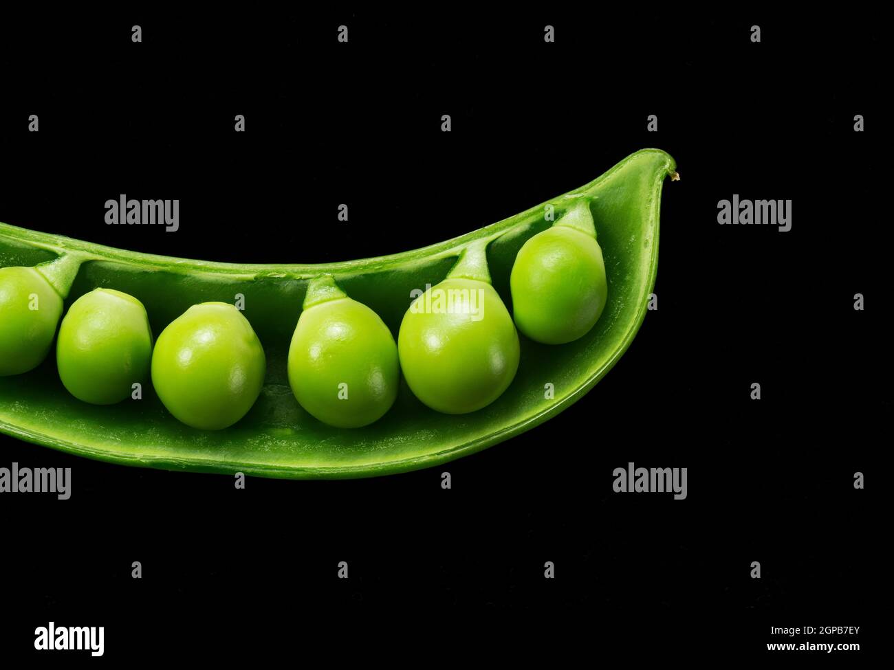Snap peas on a black background with copy space. Close-up, image of ...