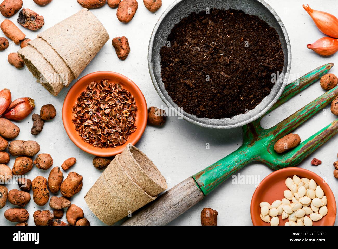 Set of plant seeds,bulbs,flower pots and garden tools Stock Photo - Alamy