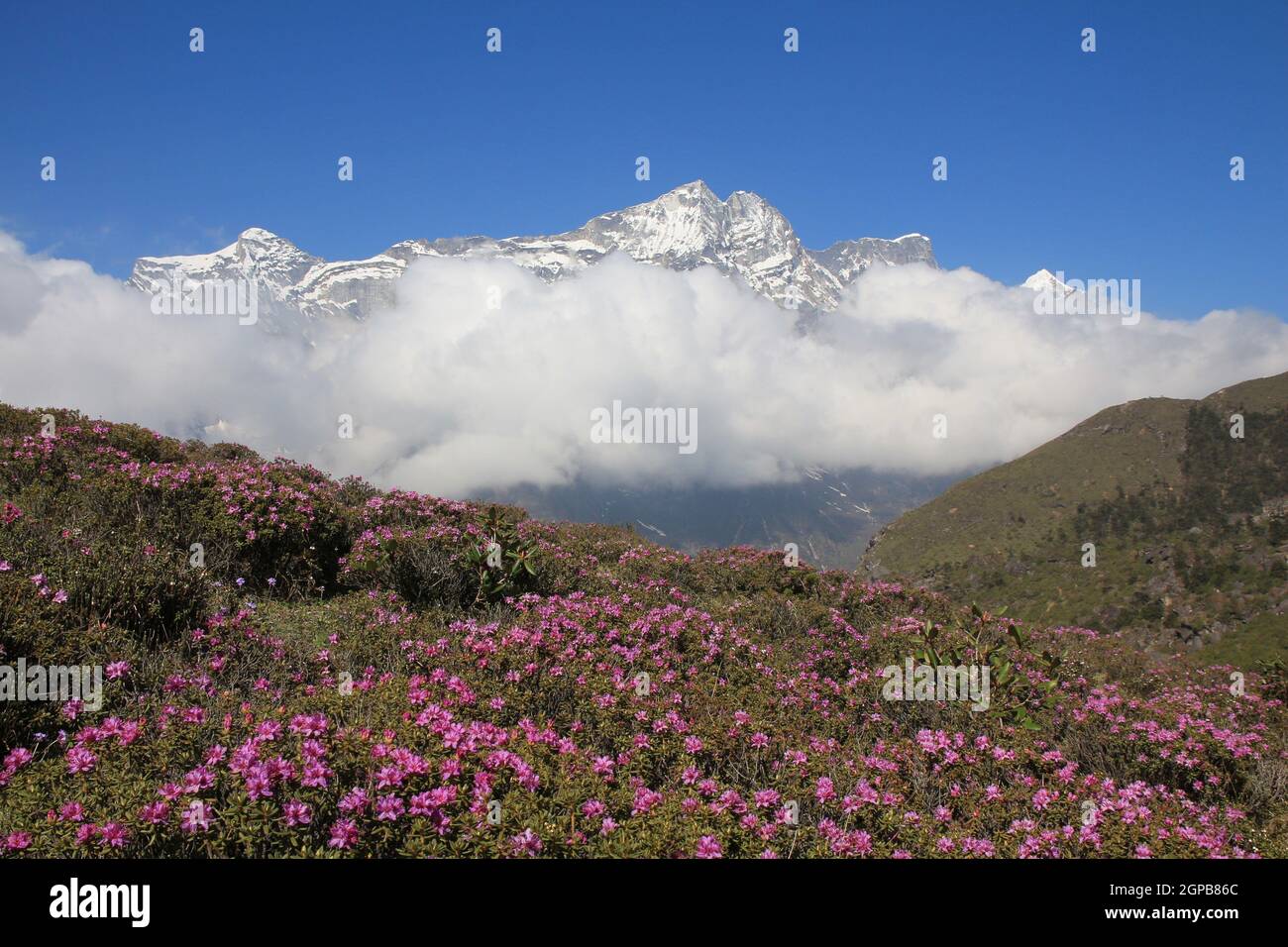 Spring scene in the Everest National Park Stock Photo - Alamy