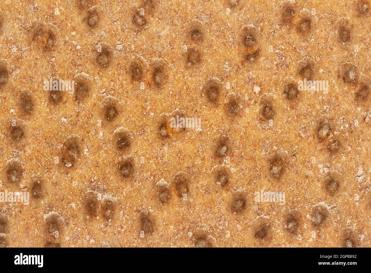 top view closeup of crunchy slice of multigrain brown bread slice ...