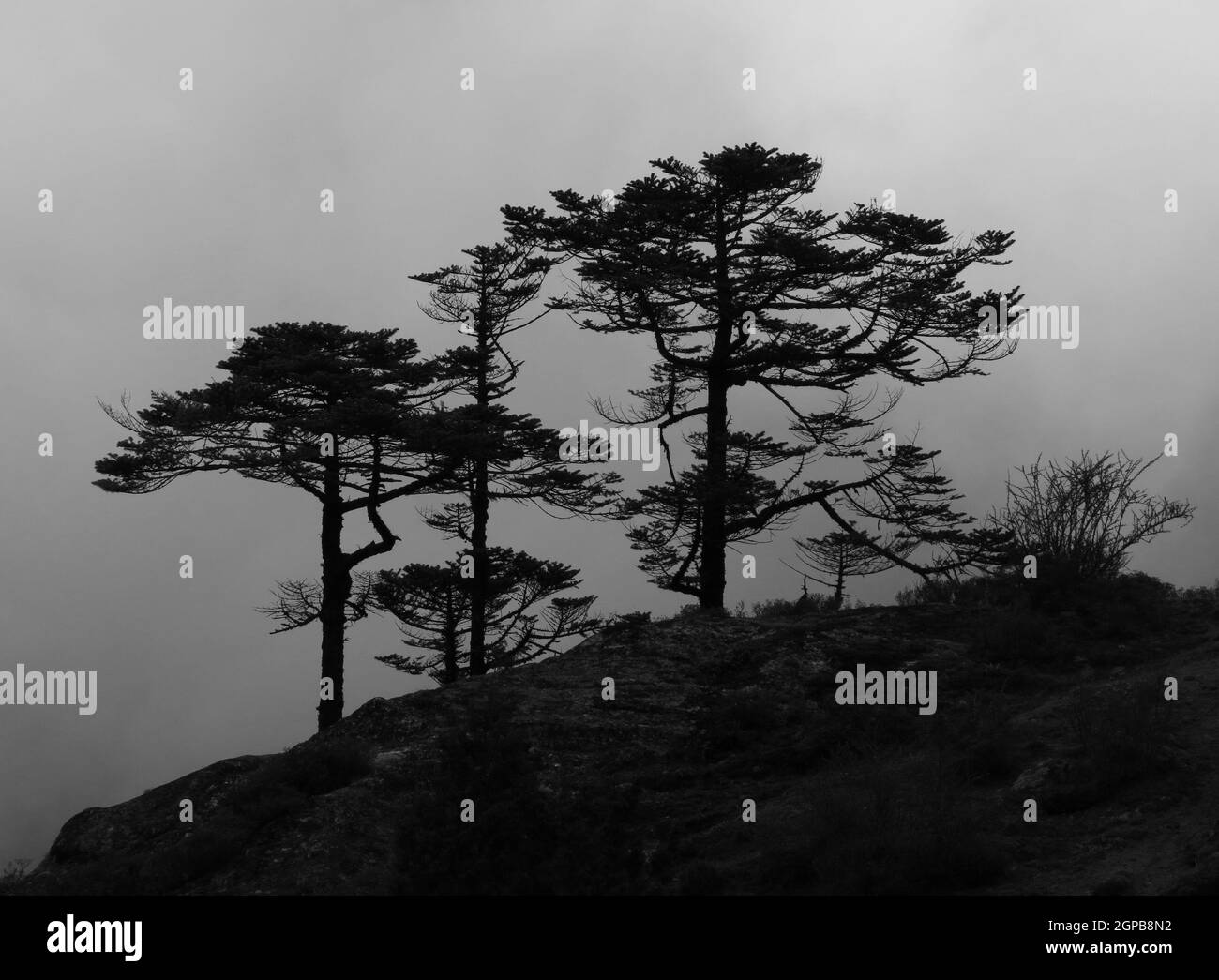 Evening scene in everest hi-res stock photography and images - Alamy