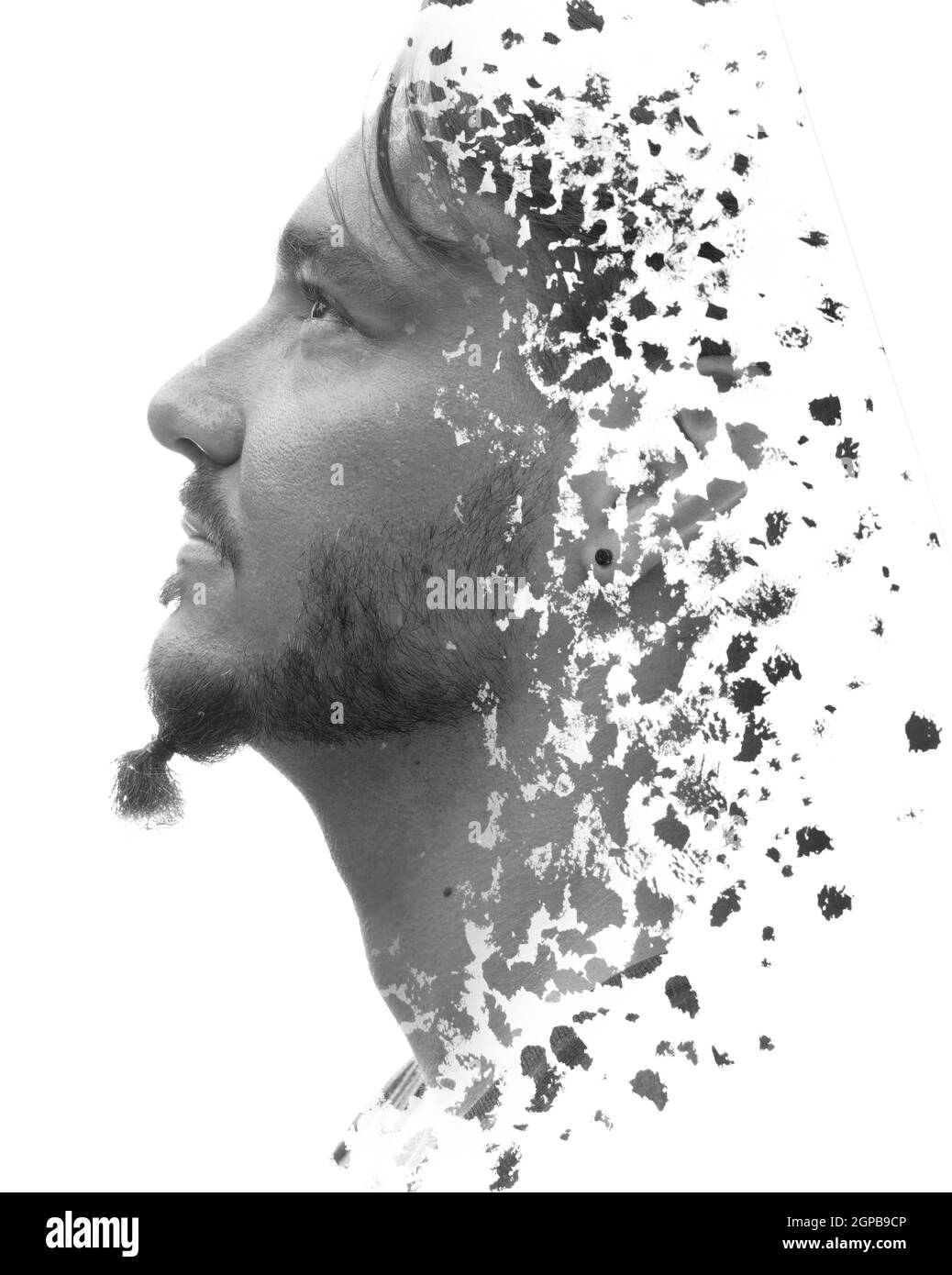 Male model Cut Out Stock Images & Pictures - Alamy