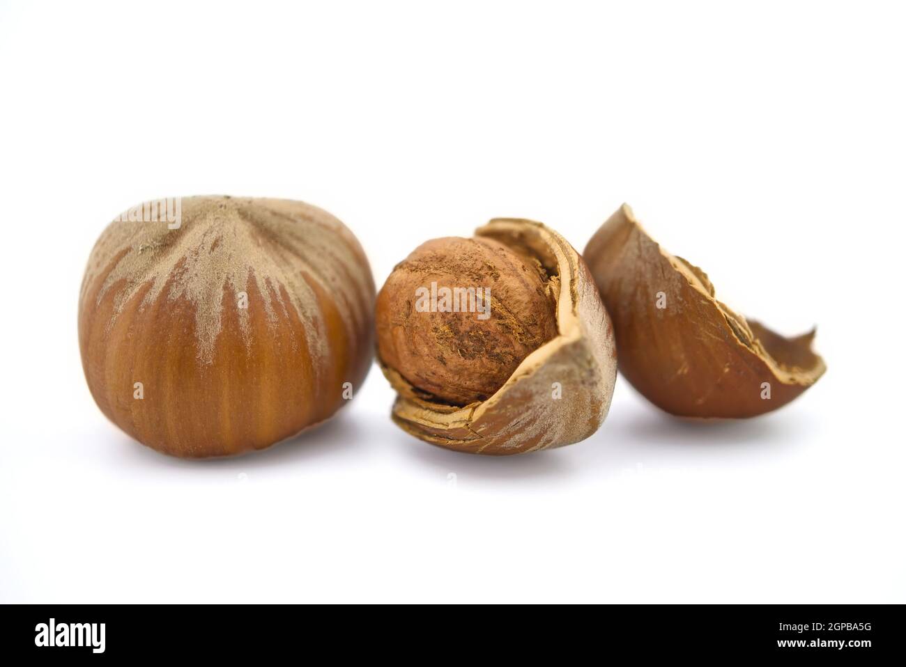 Macro view of full and cracked ripe hazelnuts isolated on white ...
