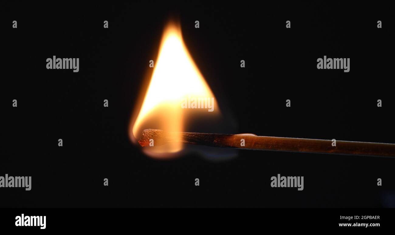 Matchstick burns with a flame and bends upward blackening Stock Photo ...