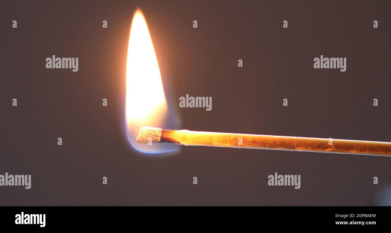 Matchstick burns with a flame and bends upward blackening Stock Photo ...