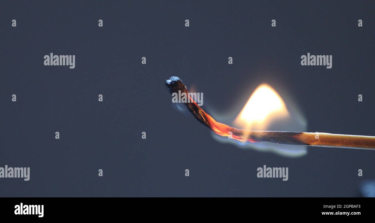 Matchstick burns with a flame and bends upward blackening Stock Photo ...
