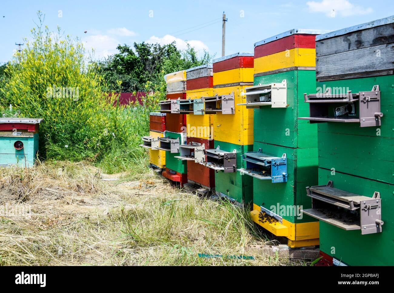 Beehive beehives in the apiary. Growing bees to get honey. Bee houses ...