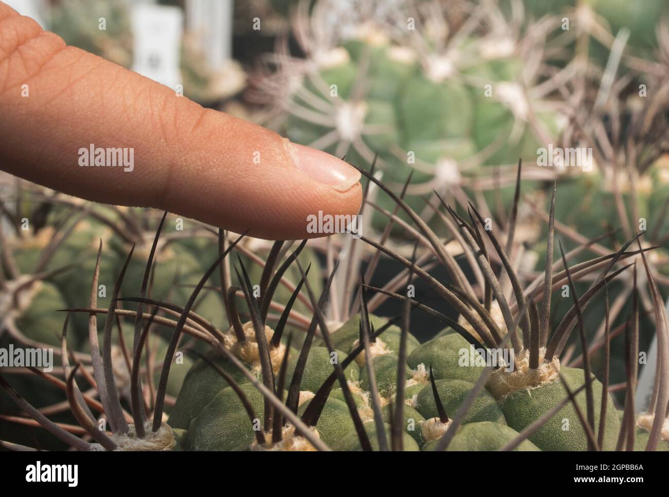 Painful emotions hi-res stock photography and images - Alamy