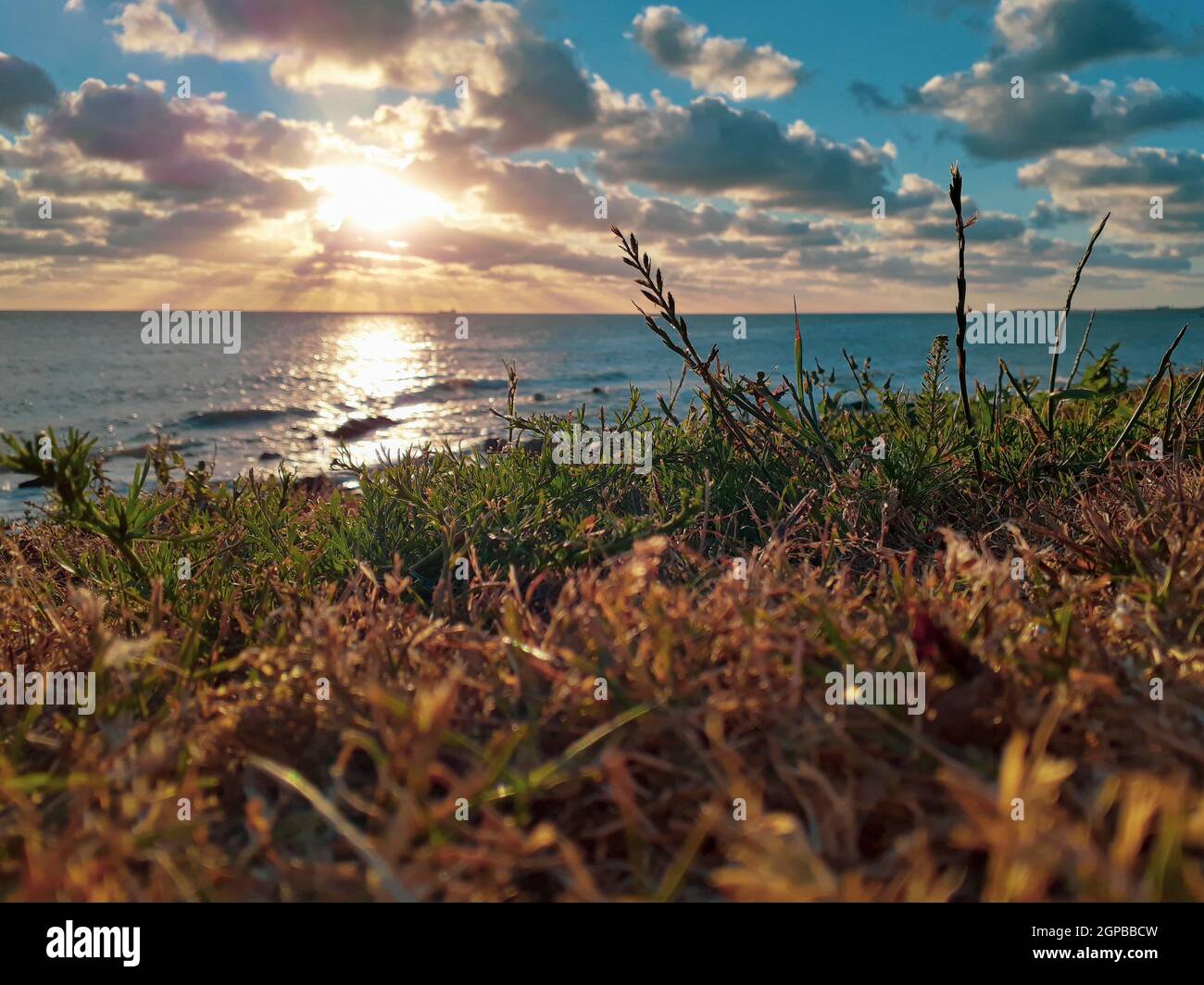 Montevideo uruguay night view hi-res stock photography and images - Alamy