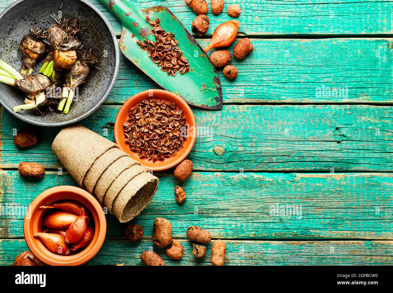 Set of plant seeds,bulbs,flower pots and garden tools Stock Photo - Alamy