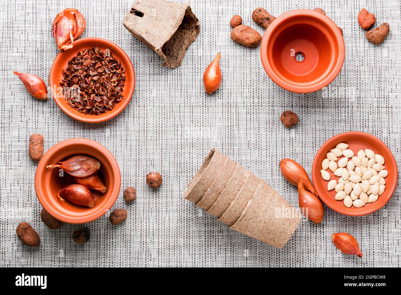 Set of plant seeds,bulbs,flower pots and garden tools Stock Photo - Alamy