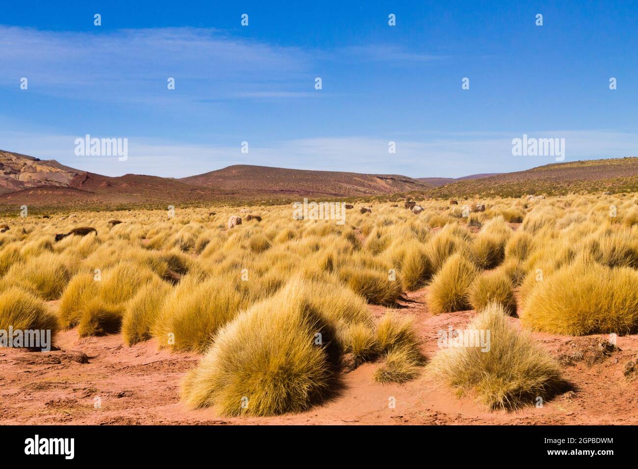 Bolivian mountains landscape,Bolivia.Andean plateau view Stock Photo ...