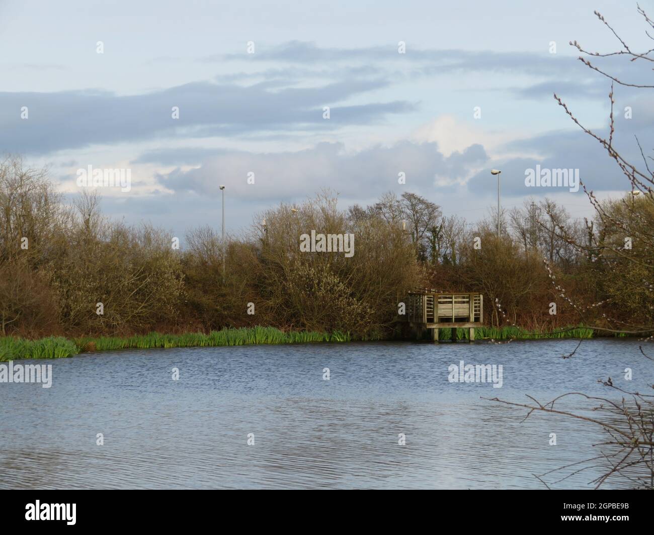 beautiful lake water fish fishing natural swim Stock Photo - Alamy