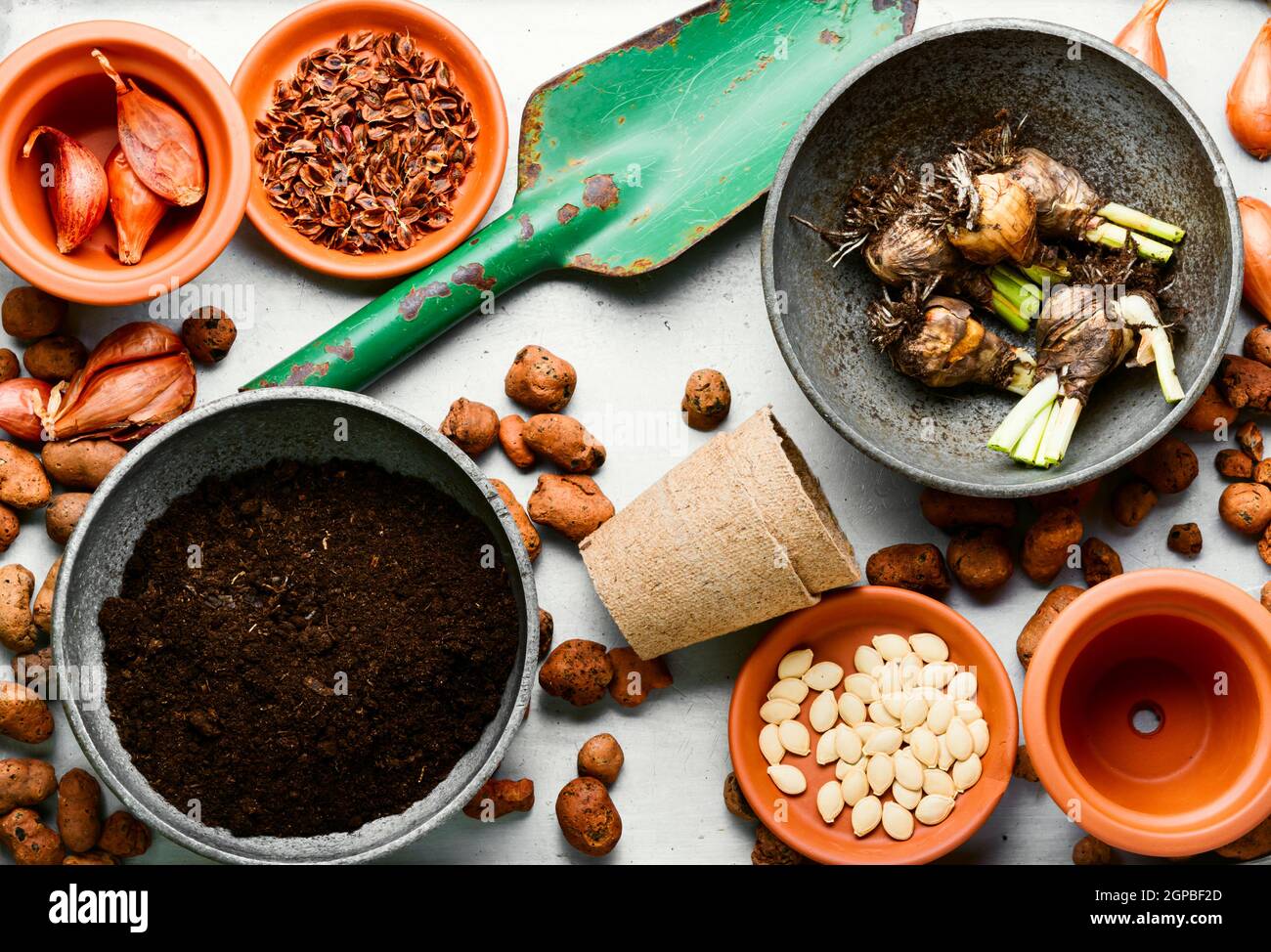 Set of plant seeds,bulbs,flower pots and garden tools Stock Photo - Alamy