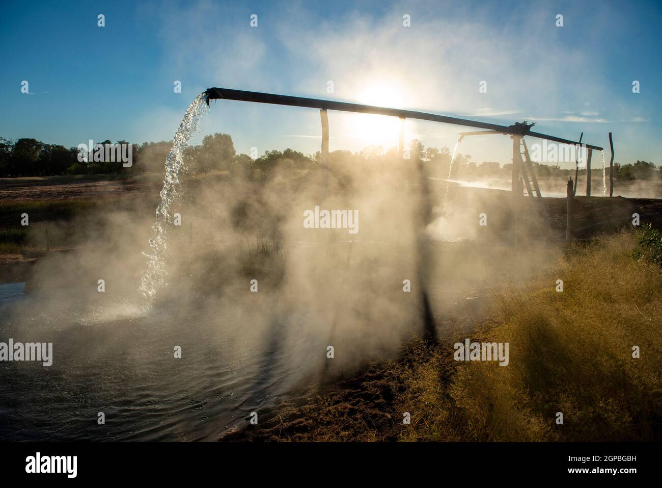 Hot artesian bore in outback Queensland, Australia Stock Photo - Alamy