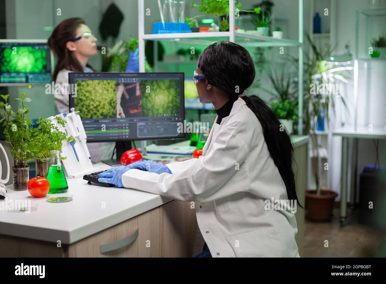 African american doctor researcher typing biochemistry medical ...