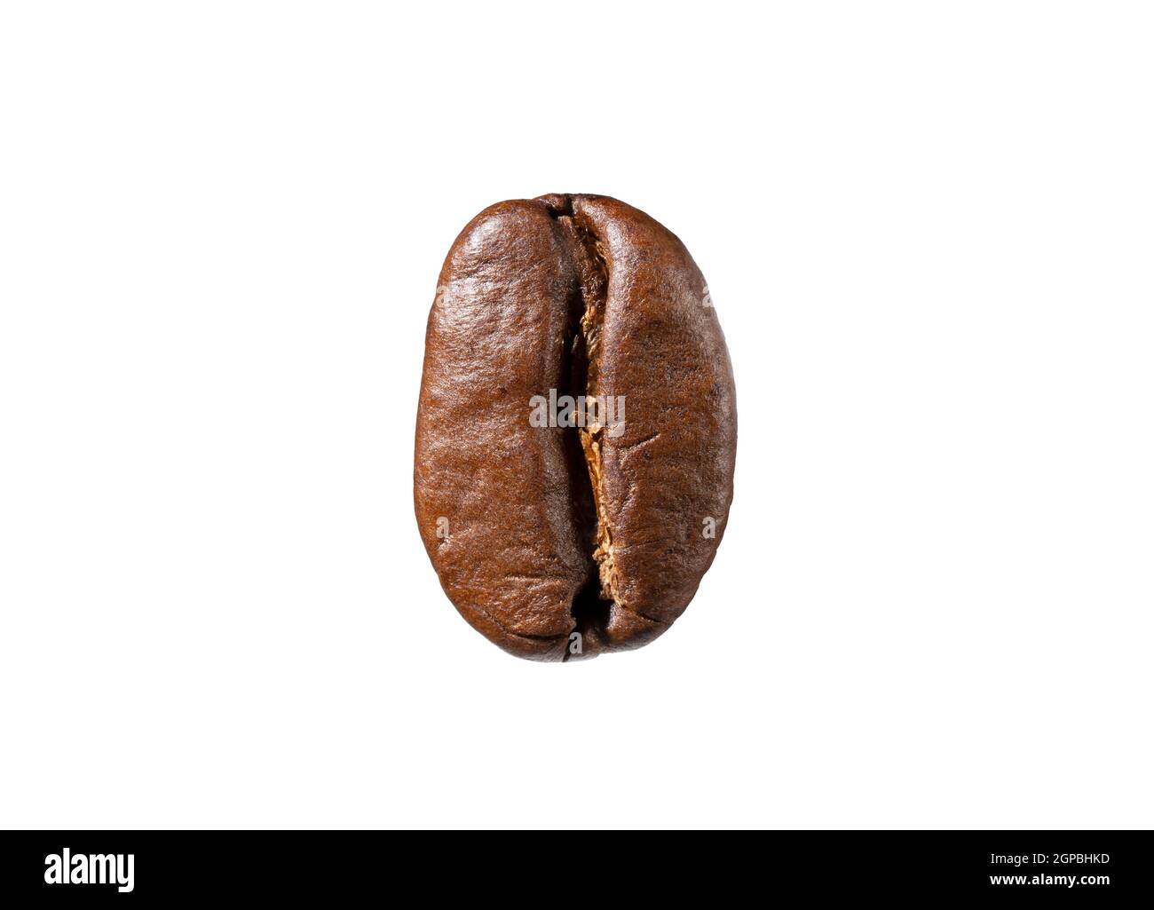 A single coffee bean on a white background. View from above Stock Photo ...