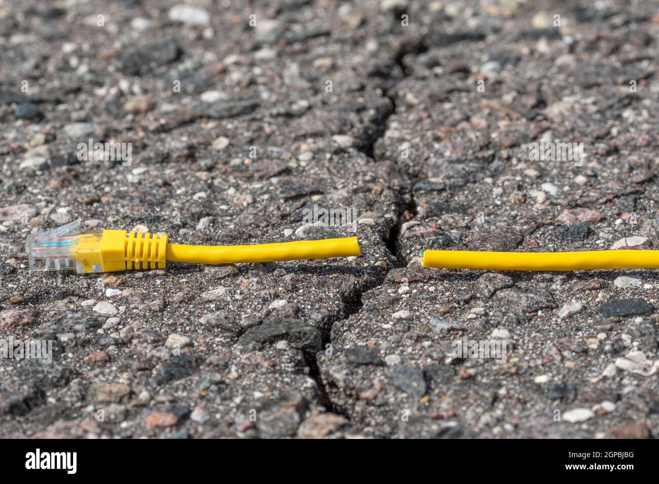 Cuted internet cable is divided by crack in asphalt road. Internet ...
