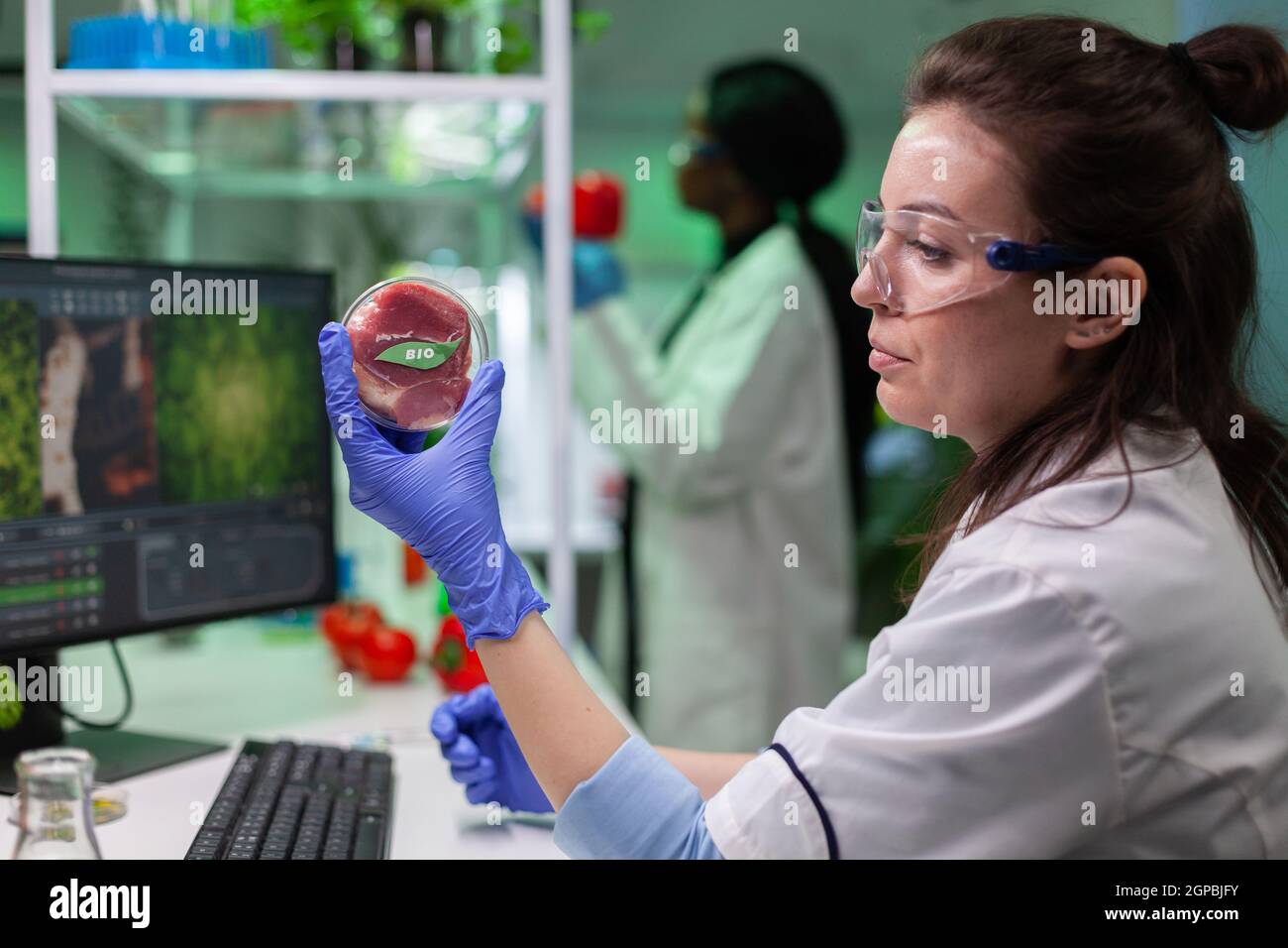 Chemist doctor working at experiment with food modified genetically ...