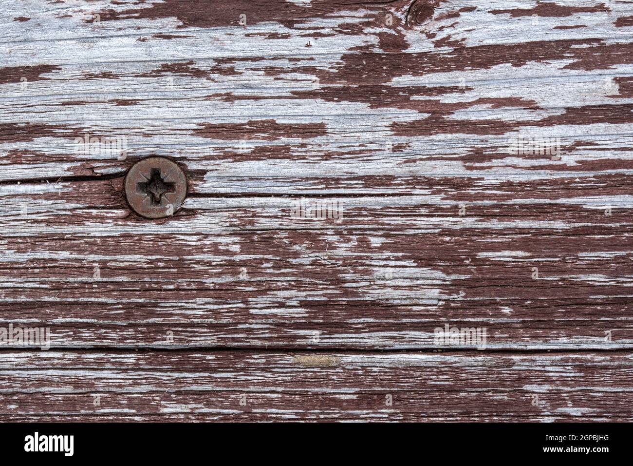Screw head on wood background texture. Close up view Stock Photo - Alamy