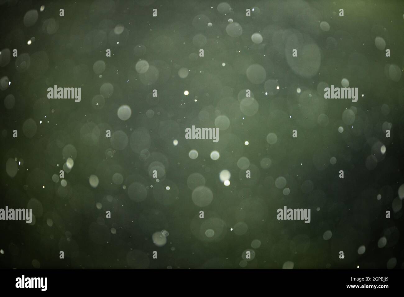 Rain falling from the sky, bringint the very needed humidity to the ...