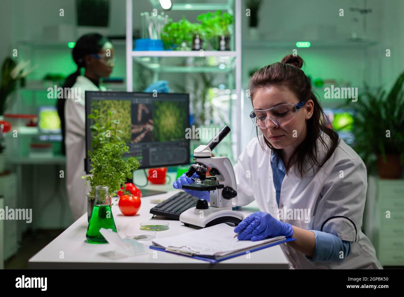 Biochemist doctor woman analyzing gmo plants sample using medical ...
