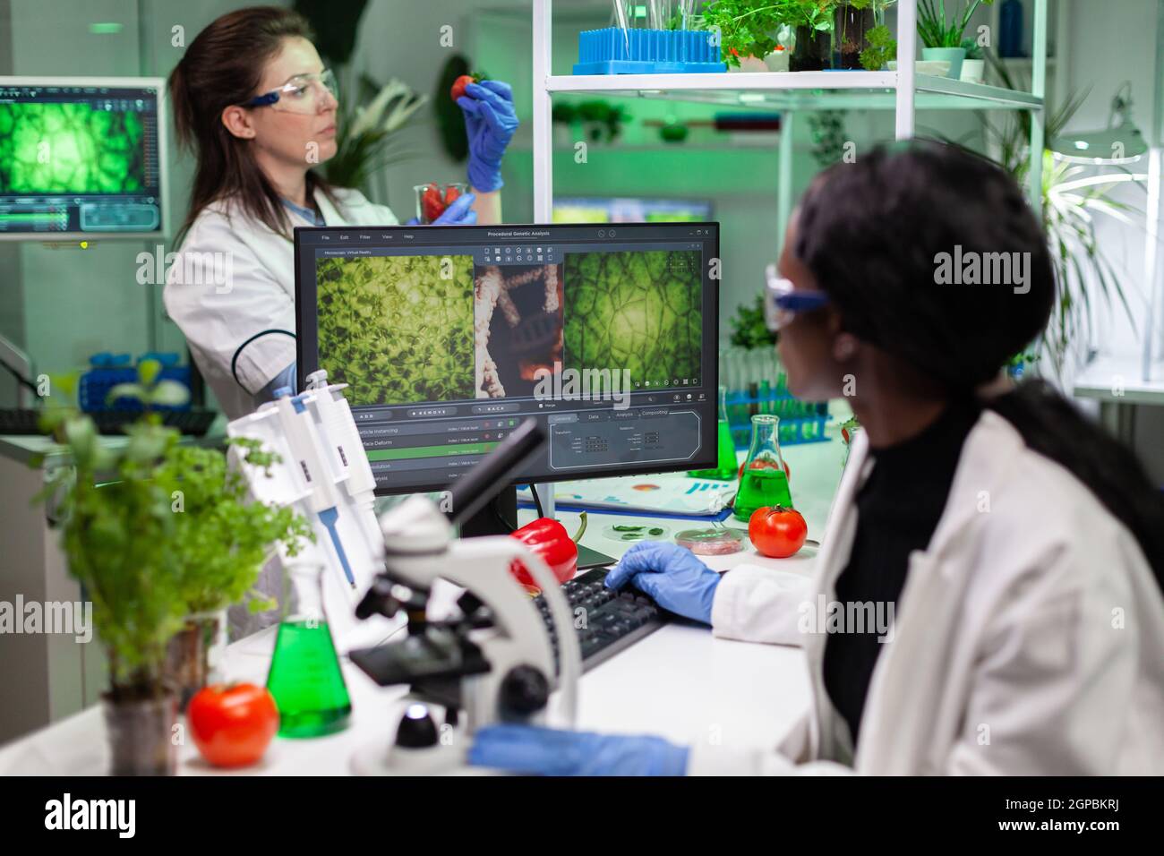 African american biologist scientist analyzing genetically modified ...