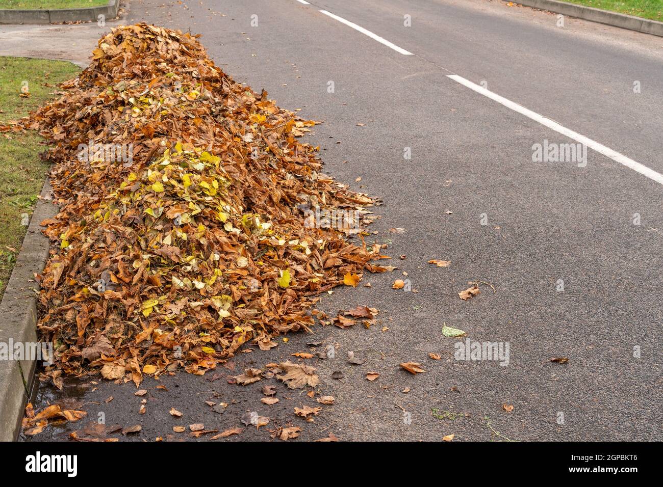Pile of raked leaves on a street ready to collect Stock Photo - Alamy