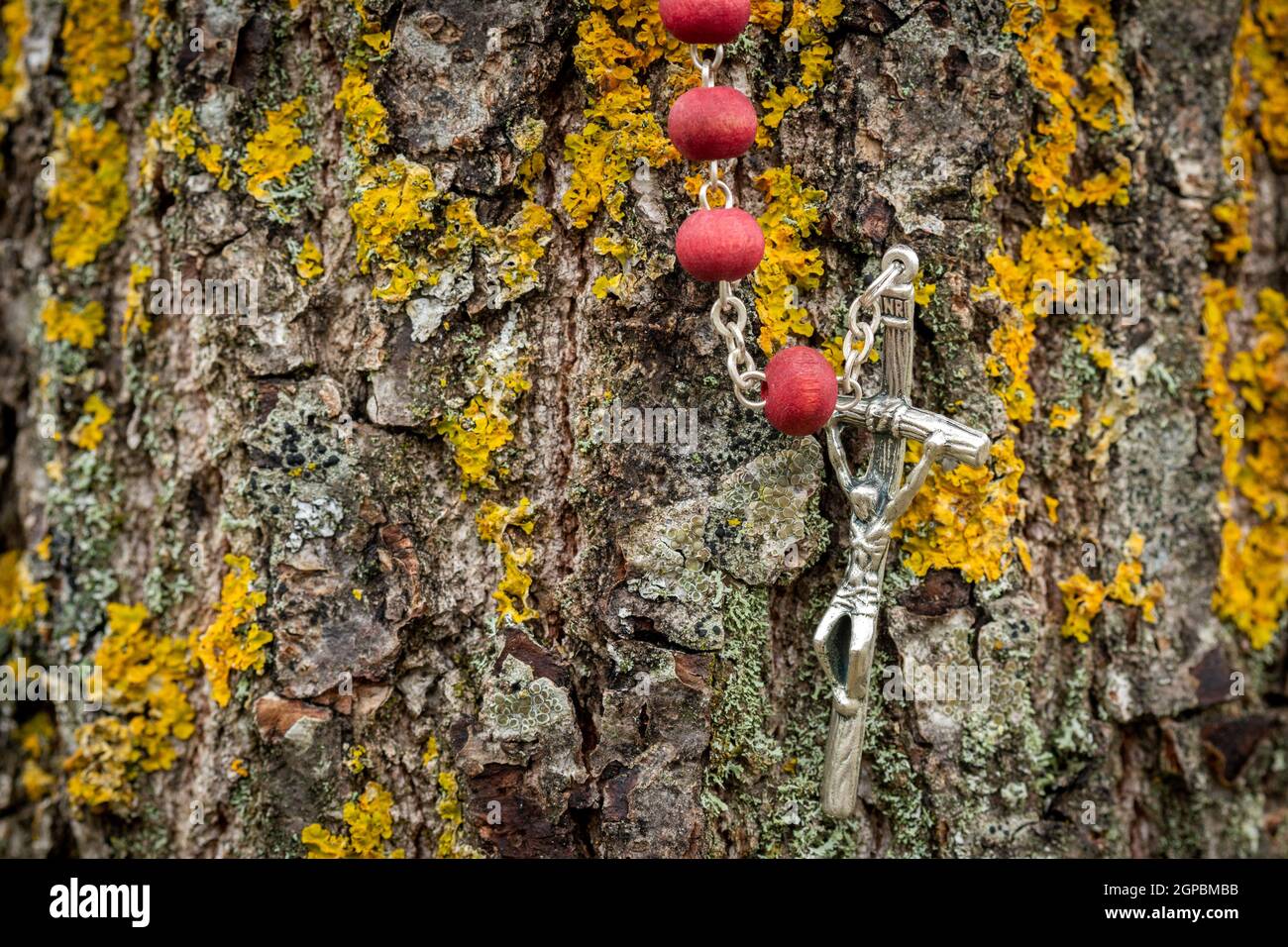 Rosary hanging on the background of tree bark Stock Photo - Alamy