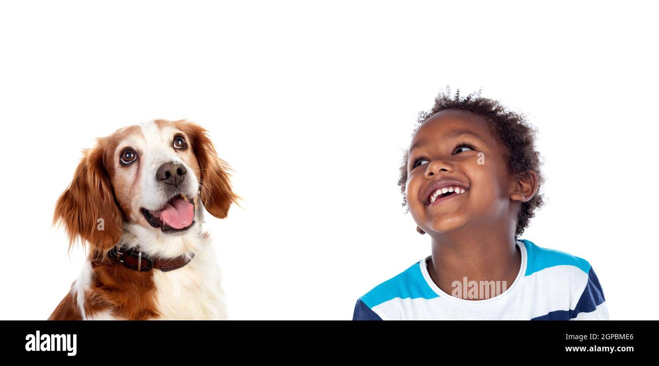 Afroamerican child with his dog looking up isolated on a white ...