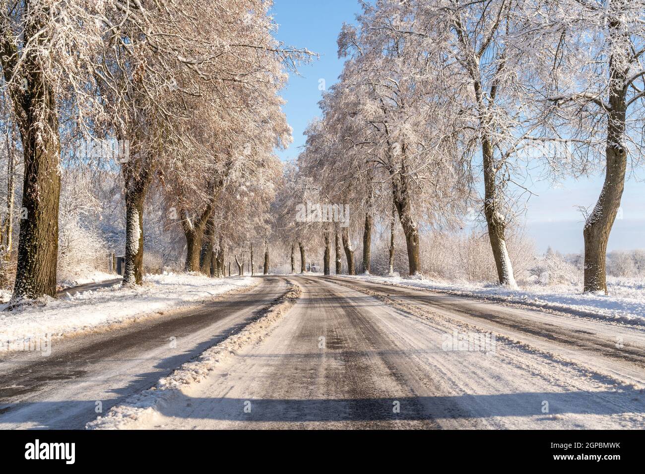 Winter road and snow with landscape of trees with frost Stock Photo - Alamy