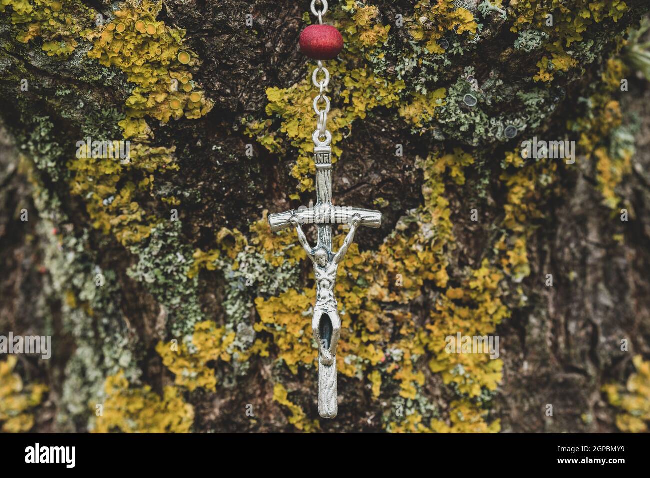 Rosary on the background of old tree bark Stock Photo - Alamy