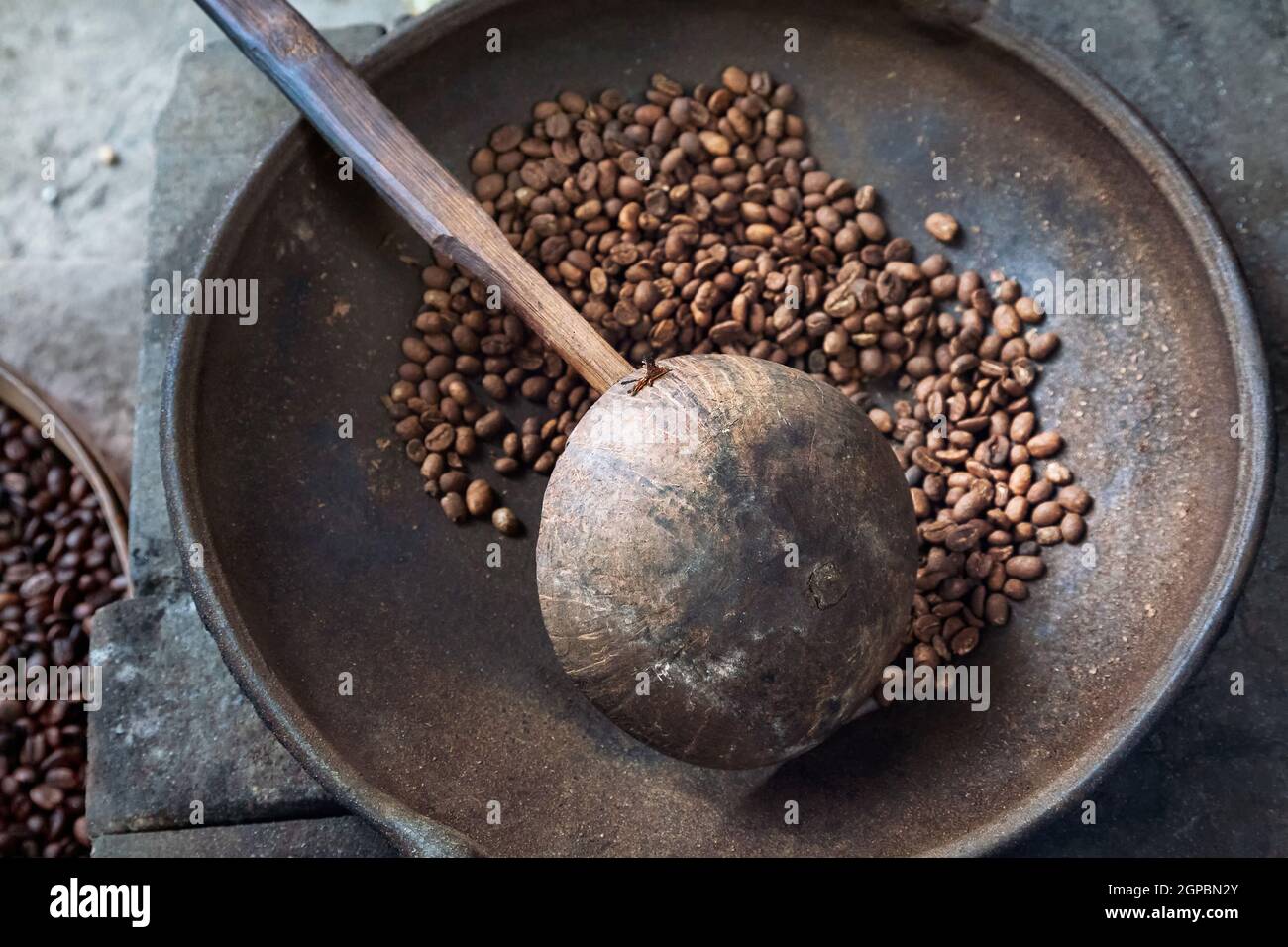 Roasted coffee beans (Kopi Luwak) at Luwak coffee farm, Kintamani, Bali ...