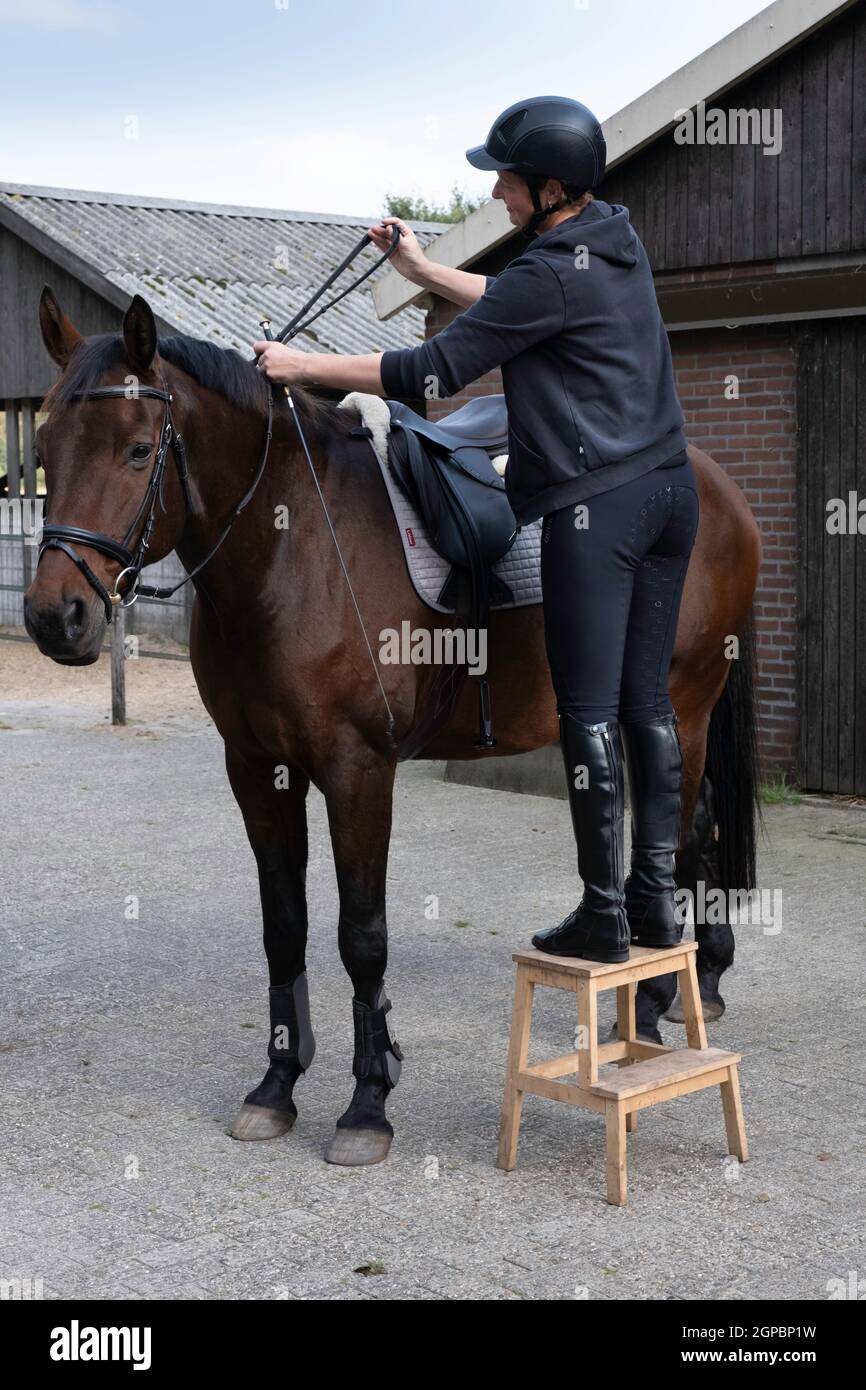 Female rider with cap and riding boots stands on a wooden step with the ...