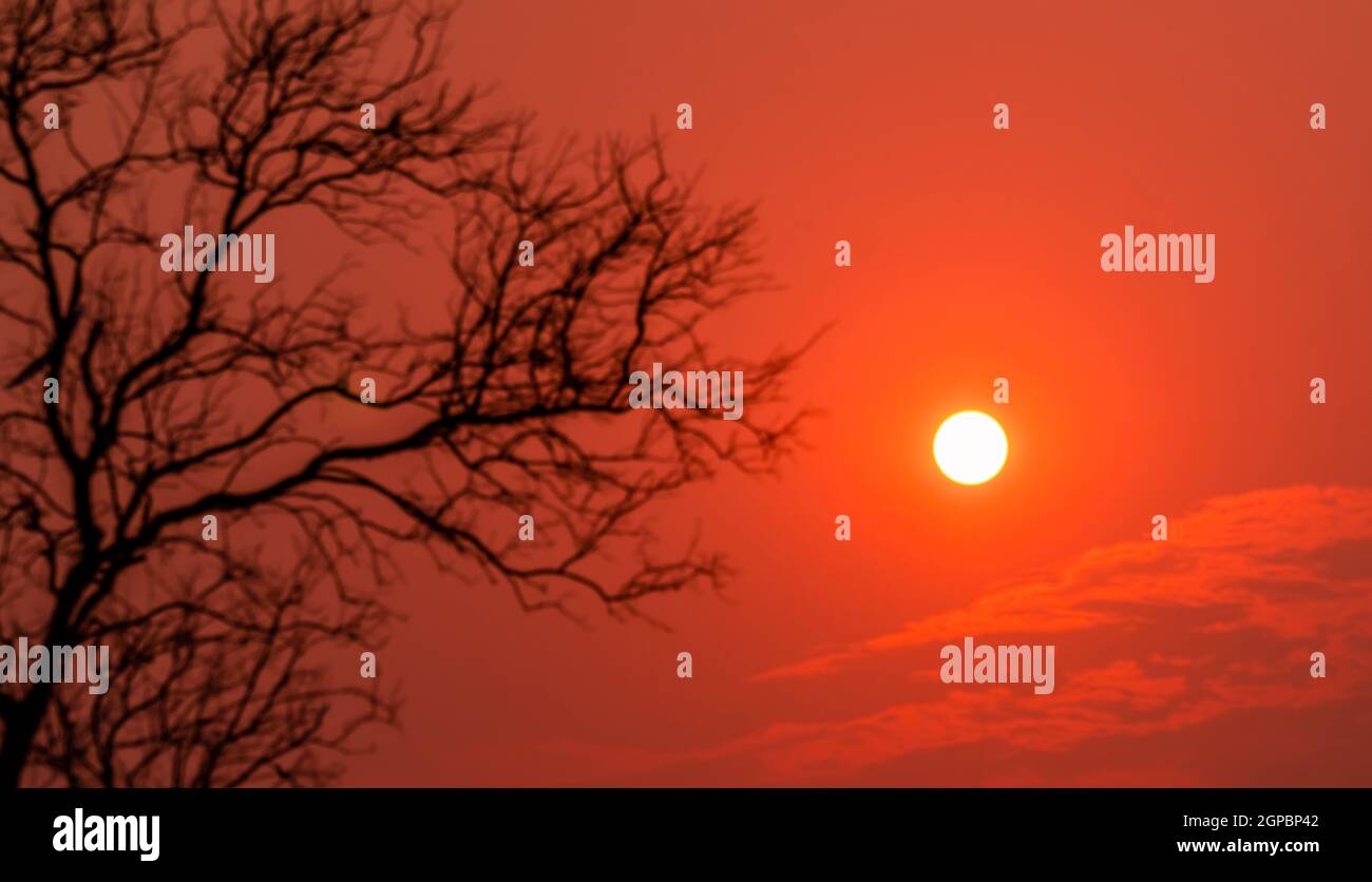 Round small sun on red sunset sky with blur foreground silhouette ...