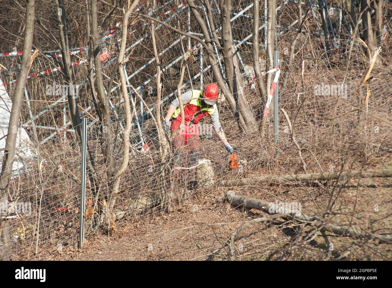 Commercial felling hi-res stock photography and images - Alamy