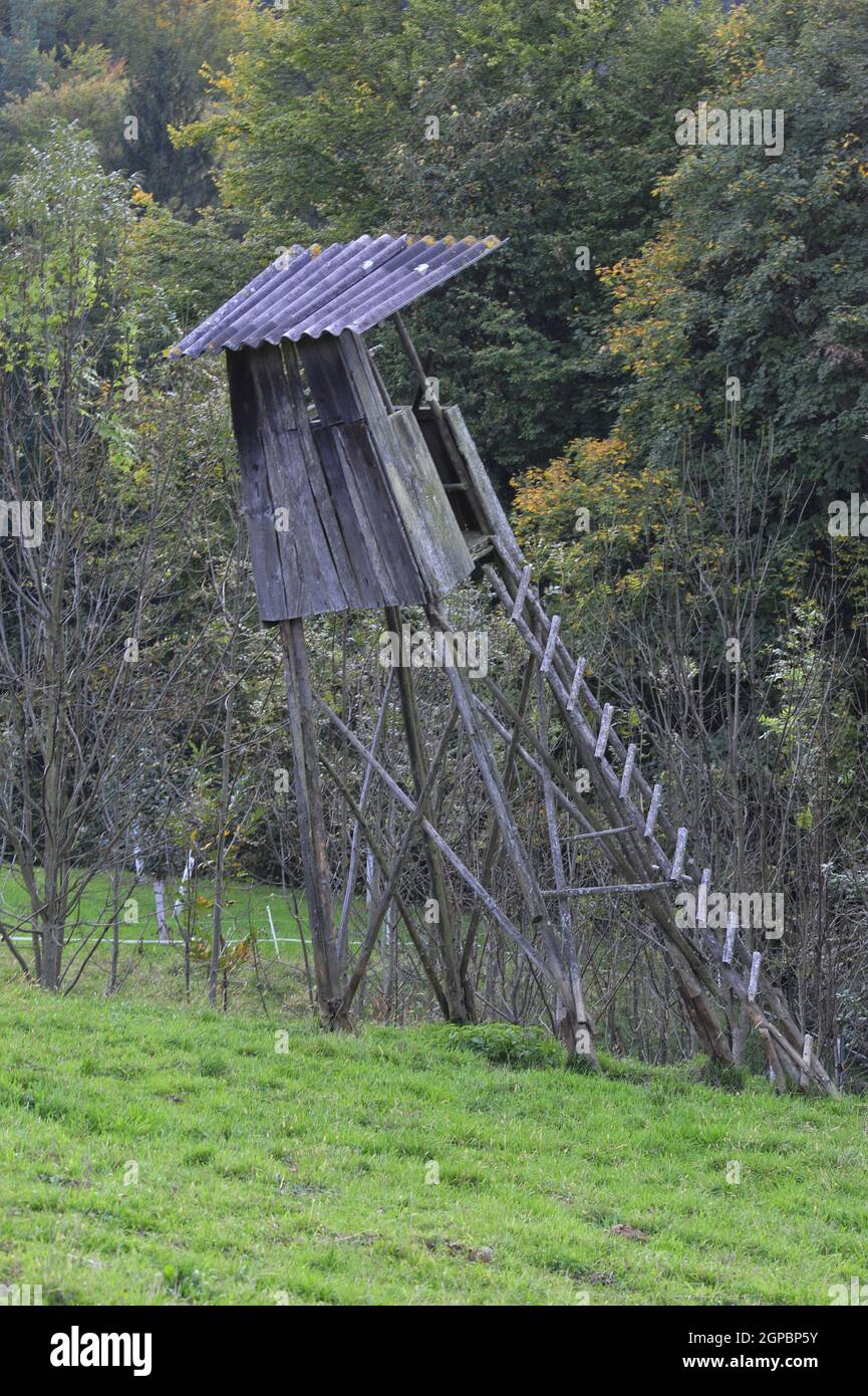 High stand of the forester hi-res stock photography and images - Alamy